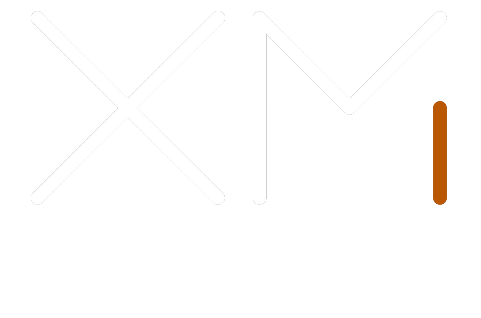 Avocat pénaliste à Lyon - Xavier Muller - Expert du droit pénal